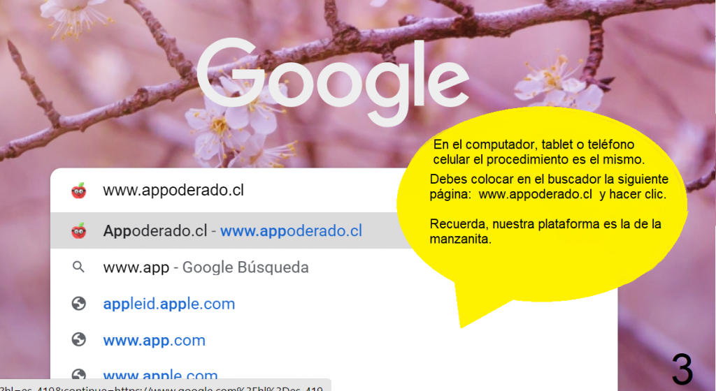 Acceso Appoderado.cl